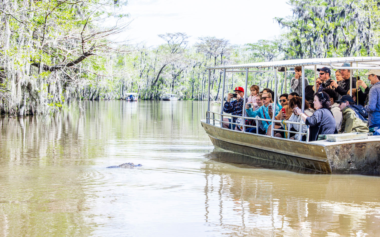 Vacations in the Northshore of New Orleans - Visit The USA